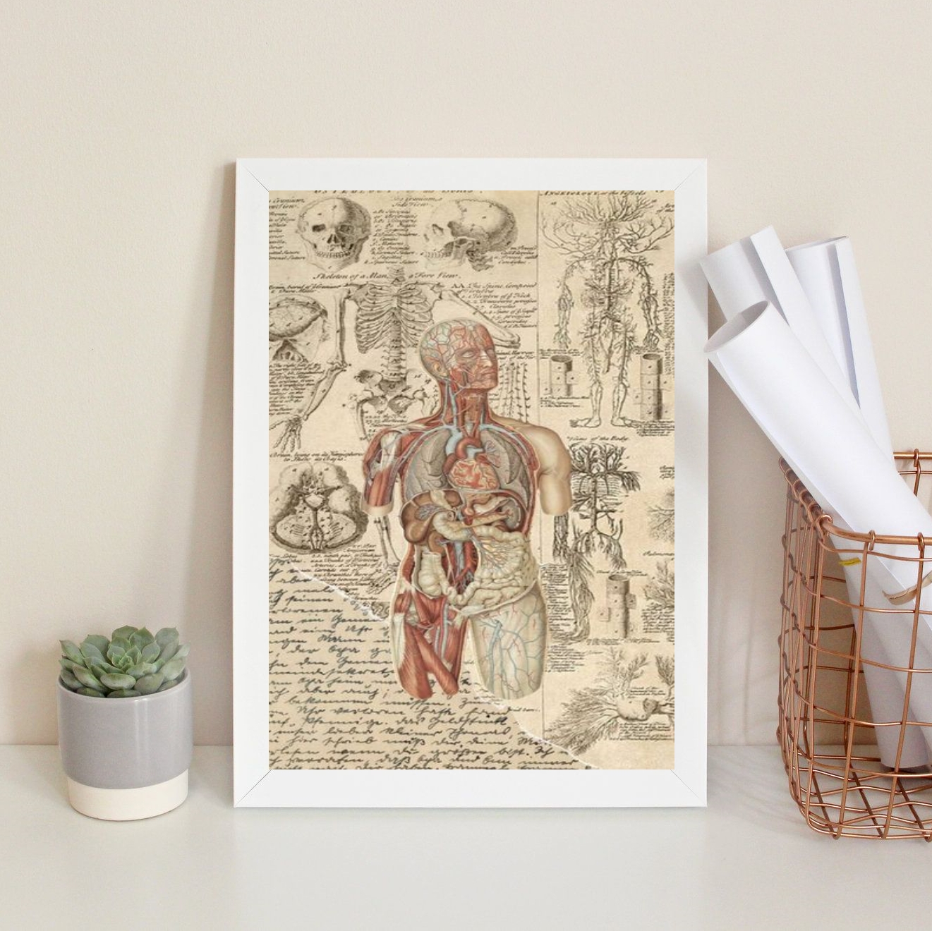 Quadro Decorativo Órgãos Corpo Humano Vintage - Quadros Online